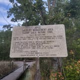 Joyce WMA Swamp Walk Nature Trail, Louisiana - 57 Reviews, Map | AllTrails