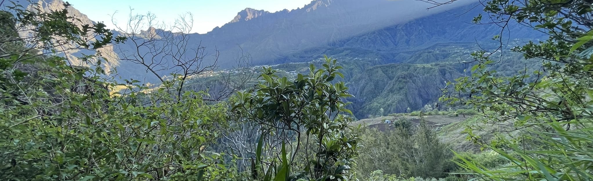Palmiste Rouge - Gueule Rouge - Bras Calebasse, 21 Photos - Saint ...