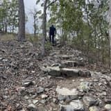 Trachyte Circuit, Queensland, Australia - 226 Reviews, Map | AllTrails