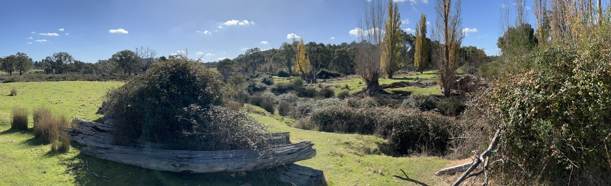 Dry Diggings Trail: Vaughan Springs to Castlemaine, Victoria, Australia ...