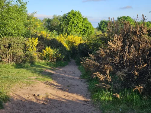 Best Hikes and Trails in Runcorn Hill Park | AllTrails