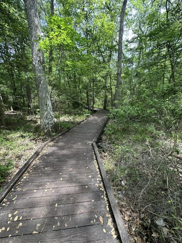 Best Hikes and Trails in Double Lake Recreation Area | AllTrails