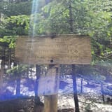 Middle Carter via Imp, North Carter, and Carter-Moriah Trail, New ...