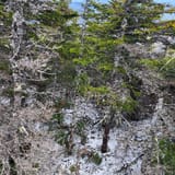 Middle Carter via Imp, North Carter, and Carter-Moriah Trail, New ...