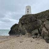 Newborough Forest Circular, Anglesey, Wales - 70 Reviews, Map | AllTrails