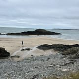 Newborough Forest Circular, Anglesey, Wales - 70 Reviews, Map | AllTrails