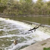 Humber River Recreation Trail, Ontario, Canada - 875 Reviews, Map ...