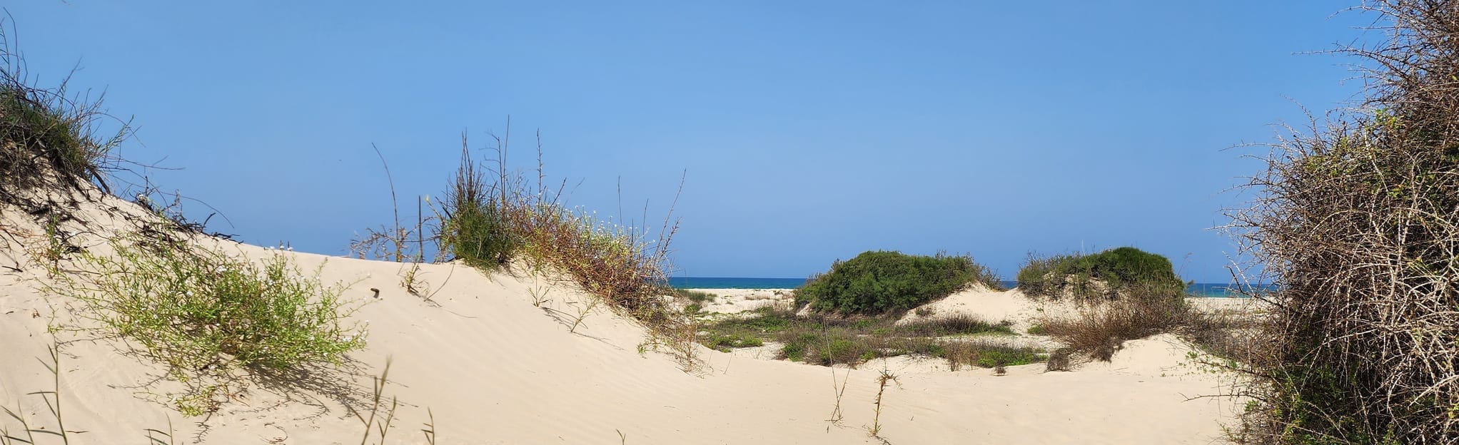 Beit Yanai Beach, Alexander River and Samara Ruins: 2 Reviews, Map ...