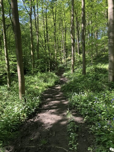 Best Hikes and Trails in Riverside Park | AllTrails