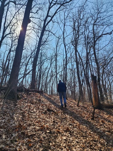 Best Hikes and Trails in Portland State Game Area | AllTrails