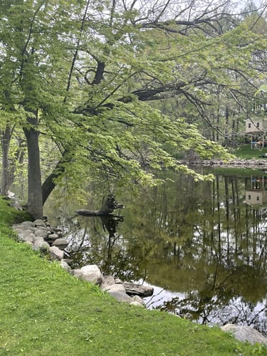 Best Hikes and Trails in Fitzgerald Park | AllTrails