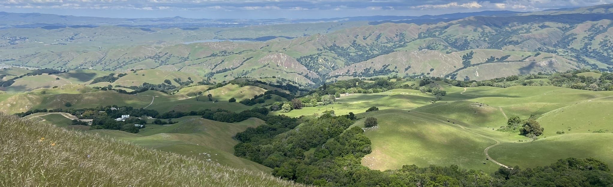 AllTrails | Mission Peak via Peak Meadow Trail: 591 Reviews, Map ...