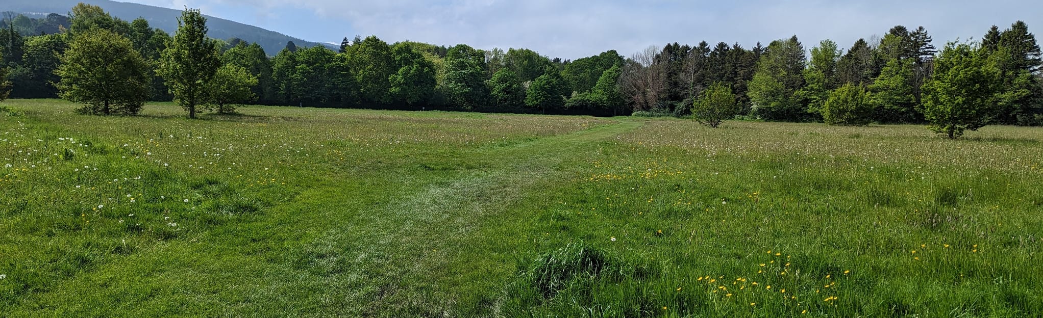 Marley Park Loop, County Dublin, Ireland - 131 Reviews, Map | AllTrails