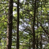 T Bagg Trail, Massachusetts - 280 Reviews, Map | AllTrails