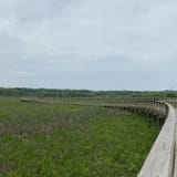 Neabsco Creek Boardwalk, Virginia - 837 Reviews, Map | AllTrails