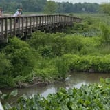 Neabsco Creek Boardwalk, Virginia - 837 Reviews, Map | AllTrails