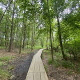 Neabsco Creek Boardwalk, Virginia - 837 Reviews, Map | AllTrails