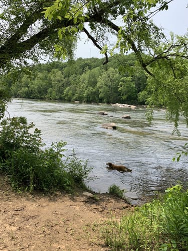 Best Hikes and Trails in Rappahannock River Conservation Area | AllTrails