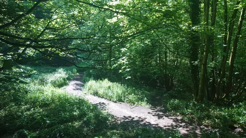 Best Hikes and Trails in Runcorn Hill Park | AllTrails