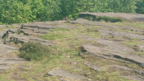 Best Hikes and Trails in Runcorn Hill Park | AllTrails