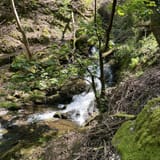 Arthog Waterfalls Circular, Gwynedd, Wales - 23 Reviews, Map | AllTrails