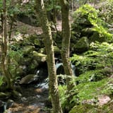 Arthog Waterfalls Circular, Gwynedd, Wales - 23 Reviews, Map | AllTrails