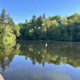 Lake Fenwick, Washington - 662 Reviews, Map | AllTrails