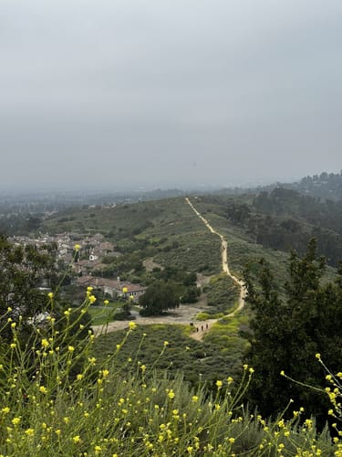 Best Hikes and Trails in Peters Canyon Regional Park | AllTrails