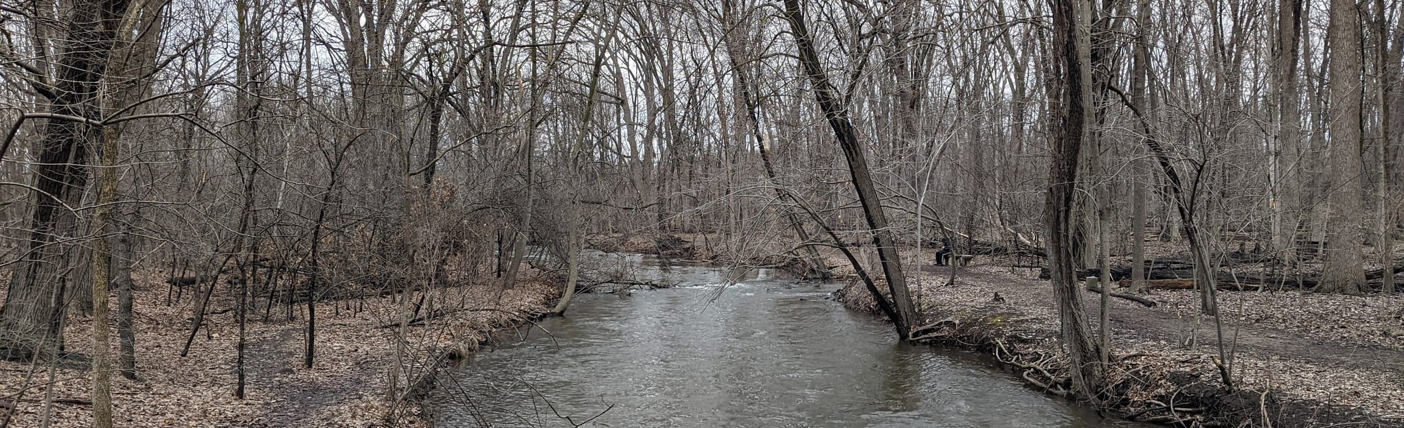 Dinosaur Hill Nature Loop, Michigan - 130 Reviews, Map | AllTrails