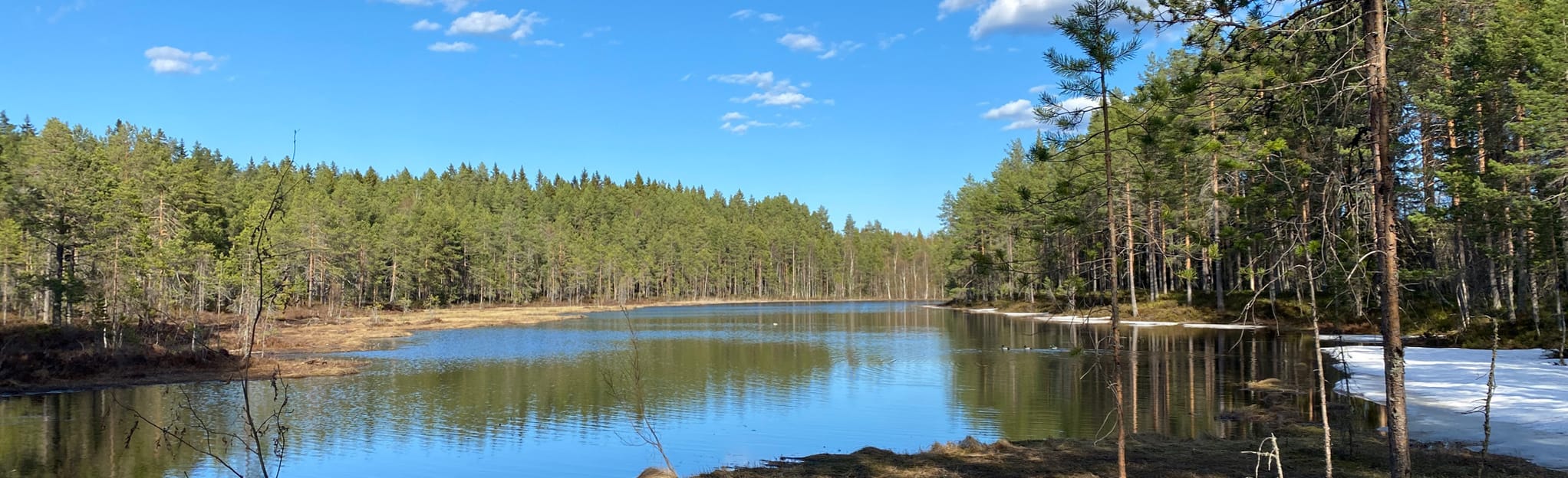 Vitberget Loop, Västerbotten, Sweden - 6 Reviews, Map | AllTrails