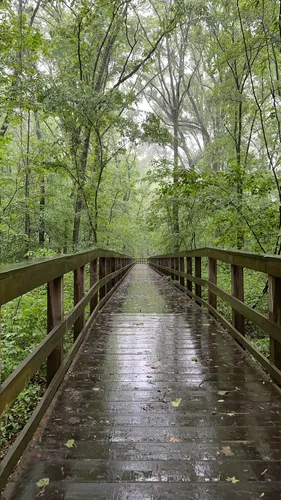 Best Hikes and Trails in Big Cypress Tree State Park | AllTrails