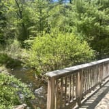 Arbutus Park and Raven Rookery Trail Loop , Massachusetts - 584 Reviews ...