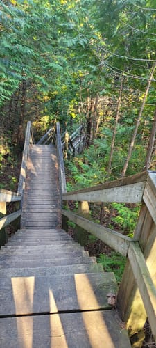 Best Hikes and Trails in Heber Down Conservation Area | AllTrails