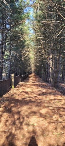 Best Hikes and Trails in Heber Down Conservation Area | AllTrails