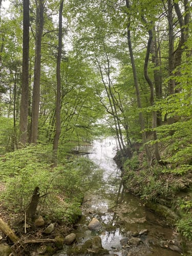 Best Hikes and Trails in Leaser Lake Park | AllTrails