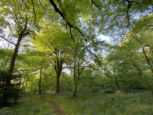 Best Hikes and Trails in Sheffield Park | AllTrails