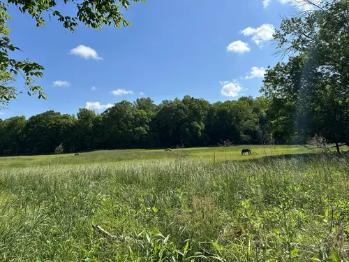 10 Best Hikes and Trails in Anne Springs Close Greenway | AllTrails