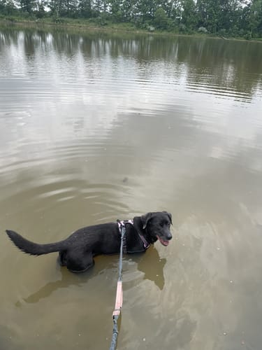 Best Hikes and Trails in Patoka River National Wildlife Refuge | AllTrails