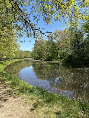 Best Hikes and Trails in Mine Falls Park | AllTrails