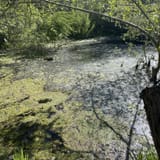 Oak Glen Preserve Trails, California - 634 Reviews, Map | AllTrails