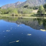 Oak Glen Preserve Trails, California - 634 Reviews, Map | AllTrails