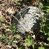 Oak Glen Preserve Trails, California - 634 Reviews, Map | AllTrails