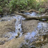 Oak Glen Preserve Trails, California - 634 Reviews, Map | AllTrails