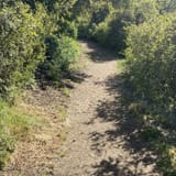 Oak Glen Preserve Trails, California - 634 Reviews, Map | AllTrails