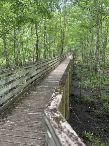 Historic Blakeley State Park: Die besten leichten Routen in 2023 ...