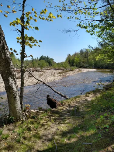 Best Hikes and Trails in Albany Town Forest | AllTrails