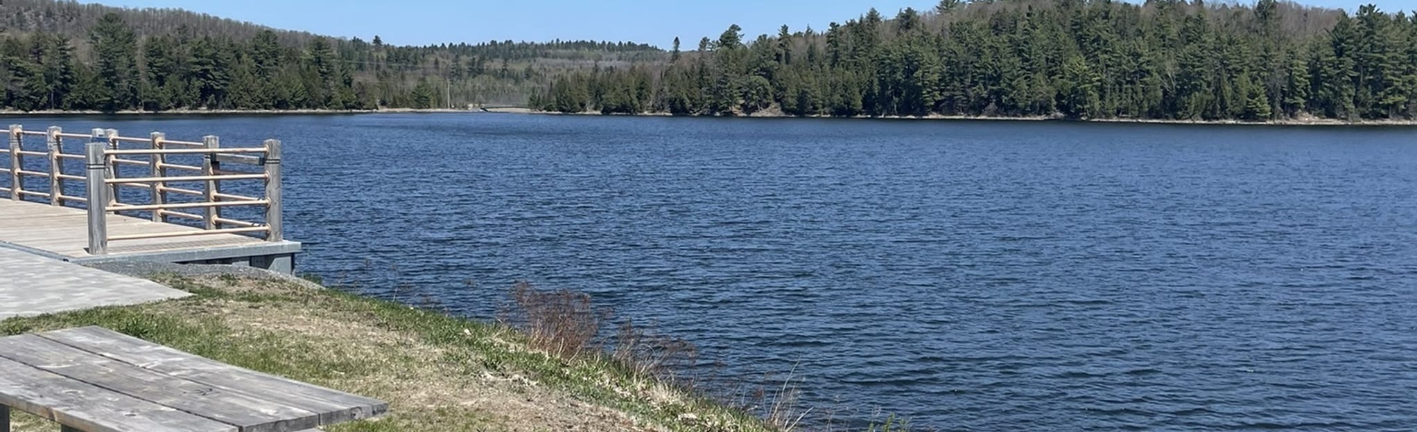 Horne Lake Trail: 47 Reviews, Map - Ontario, Canada | AllTrails