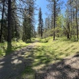 Trail 121: Waterfall Loop, Washington - 883 Reviews, Map | AllTrails