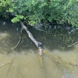 Congers Lake Trail and Boardwalk [PRIVATE PROPERTY], New York - 290 ...