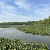 Congers Lake Trail and Boardwalk [PRIVATE PROPERTY], New York - 290 ...